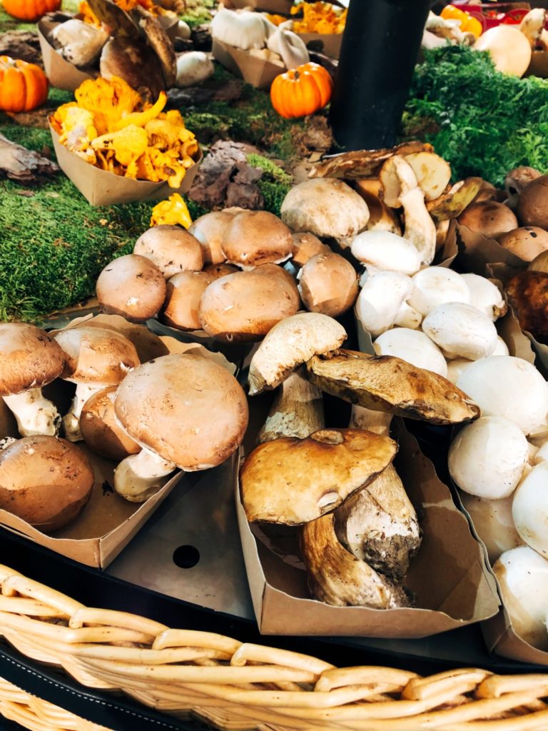 フランスの美味しいキノコ 秋の味覚ケーキKazuya AIHARA ブログ